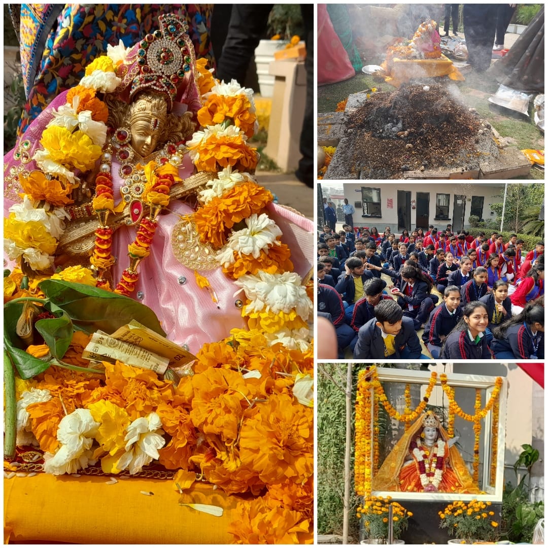 Royal Oak International